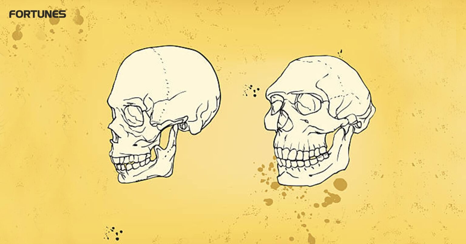 Scientists Discover Neanderthal DNA In Modern Homo Sapiens Fortunes Crown